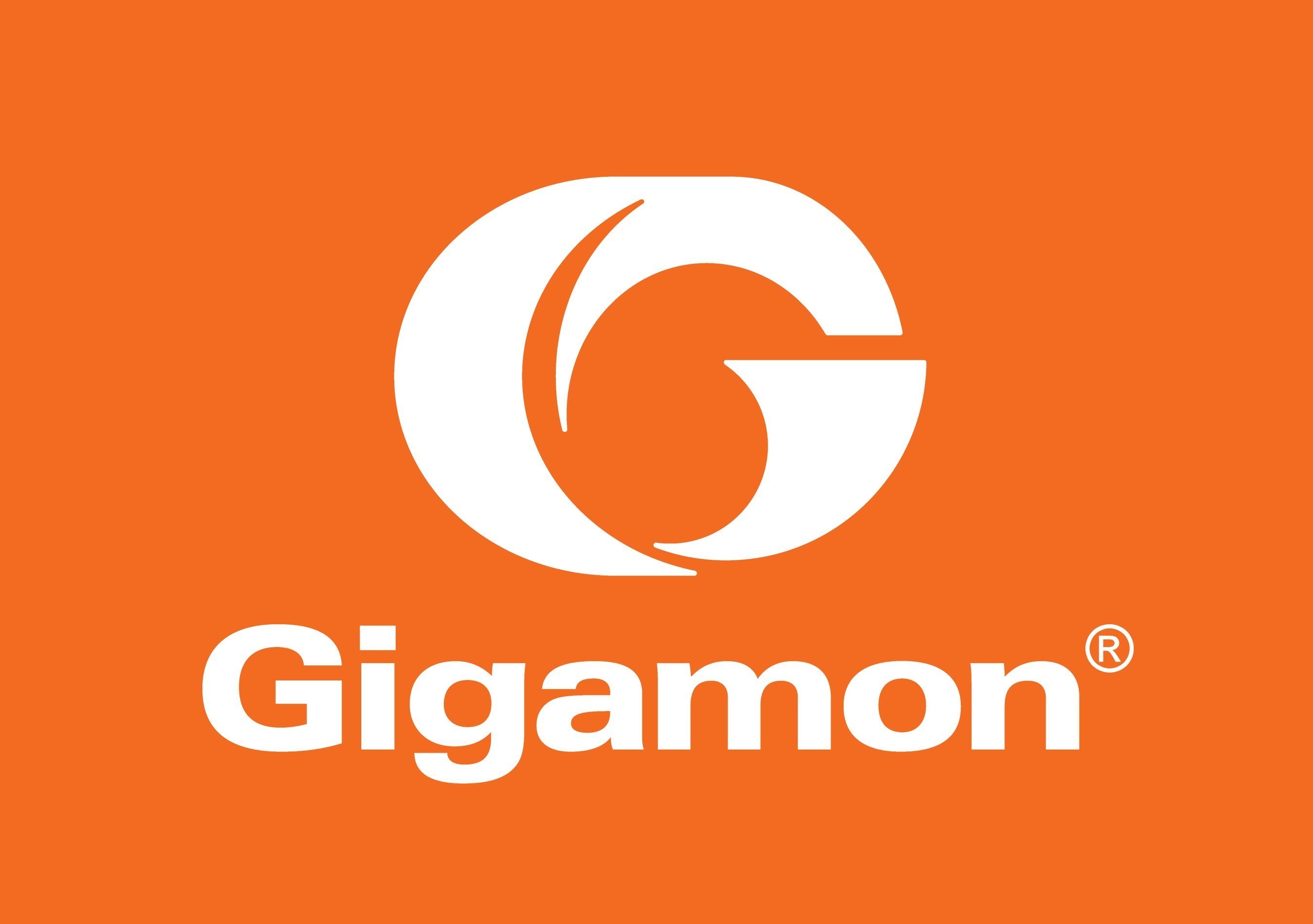 Gigamon Enters into Definitive Agreement to be Acquired by Elliott ...