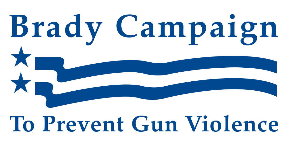 NCADV and the Brady Center Testify on the Critical Intersection of ...