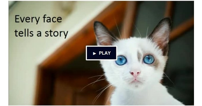 Is Your Pet Pingable? Ping A Pet™ Launches Kickstarter Campaign to Get ...