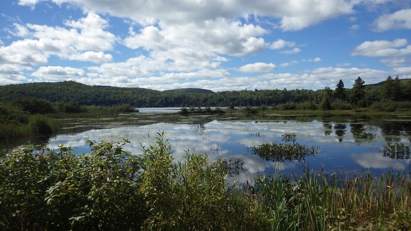 CNW | Lancement du projet Mise en valeur de la baie Trou à Barbotte de ...