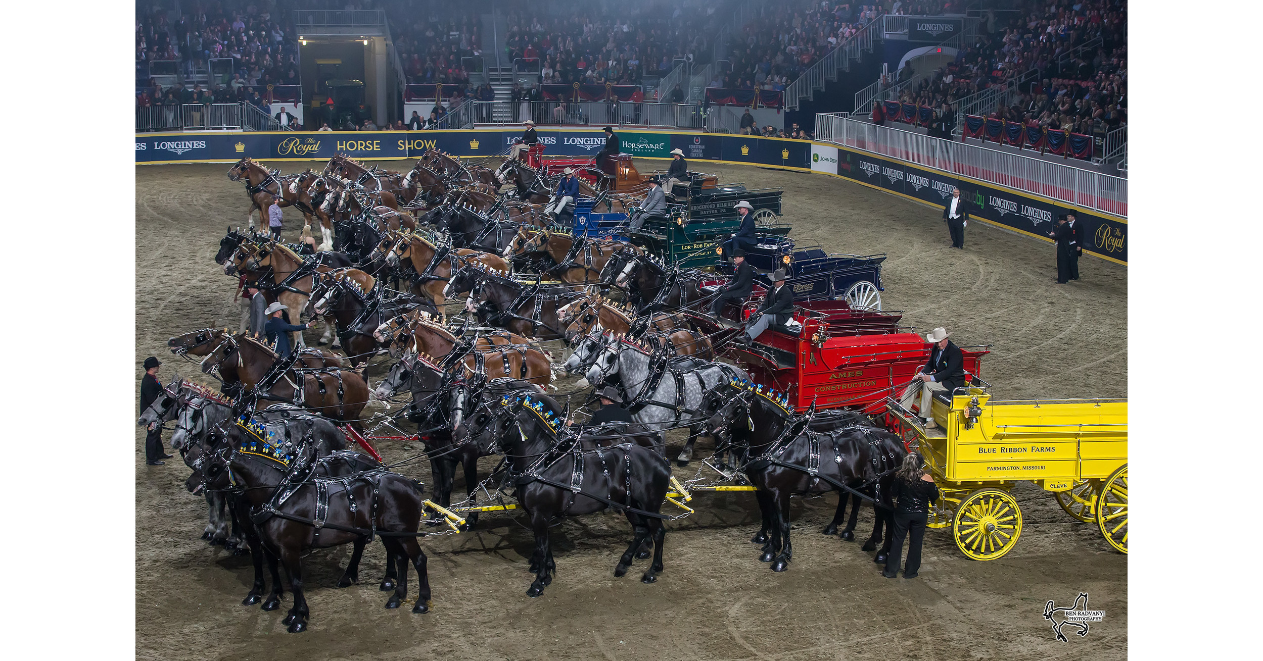Blue Ribbon Days Percherons Named $25,000 Six-Horse Draft Champions at ...