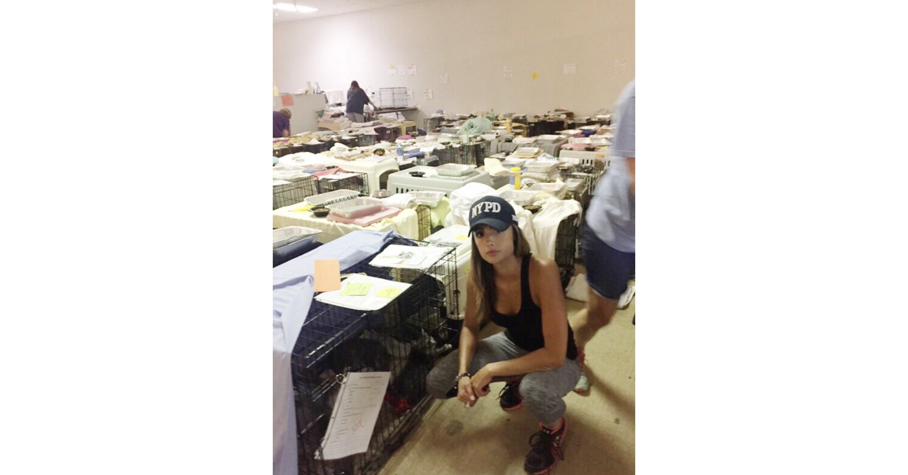 Hurricane Harvey Animal Rescue! Peace 4 Animals Has Teamed Up With a ...