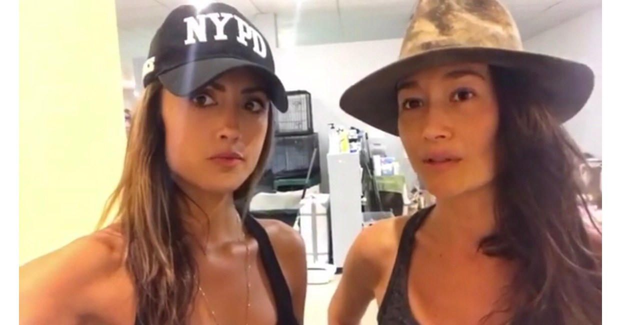 Hurricane Harvey Animal Rescue! Peace 4 Animals Has Teamed Up With a ...