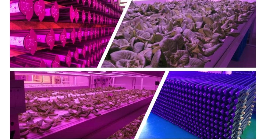 Future Farm Releases LED Canada Update