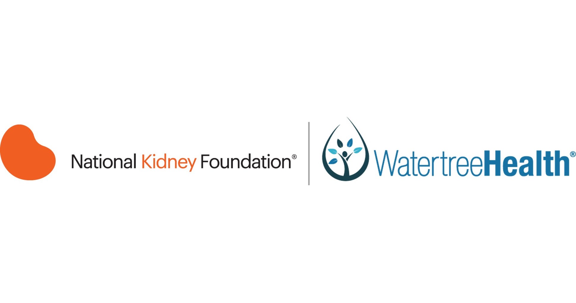 National Kidney Foundation Malaysia Logo National Kidney Foundation