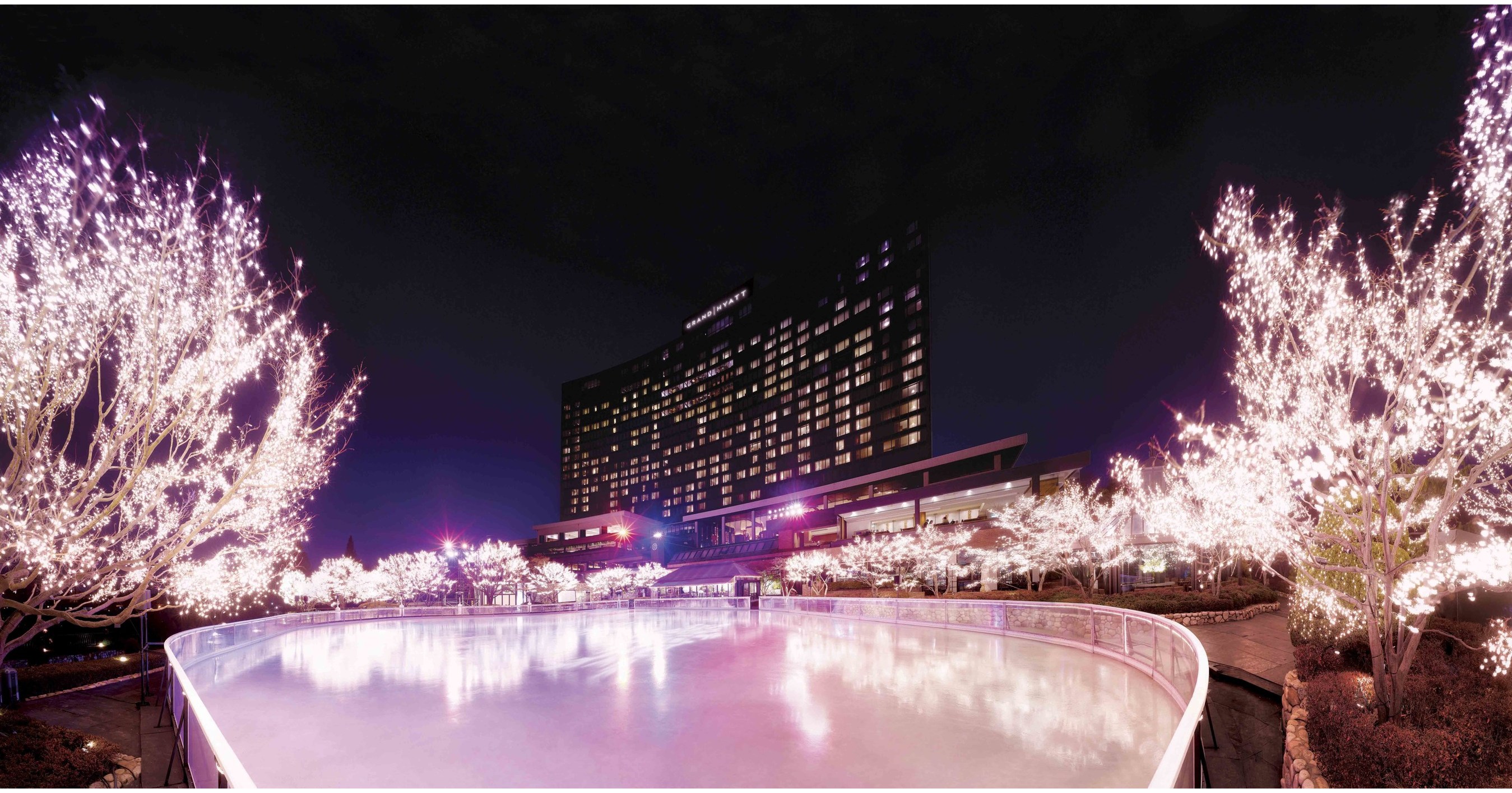 Grand Hyatt Seoul: The Leisure Destination of Choice, Ice Rink