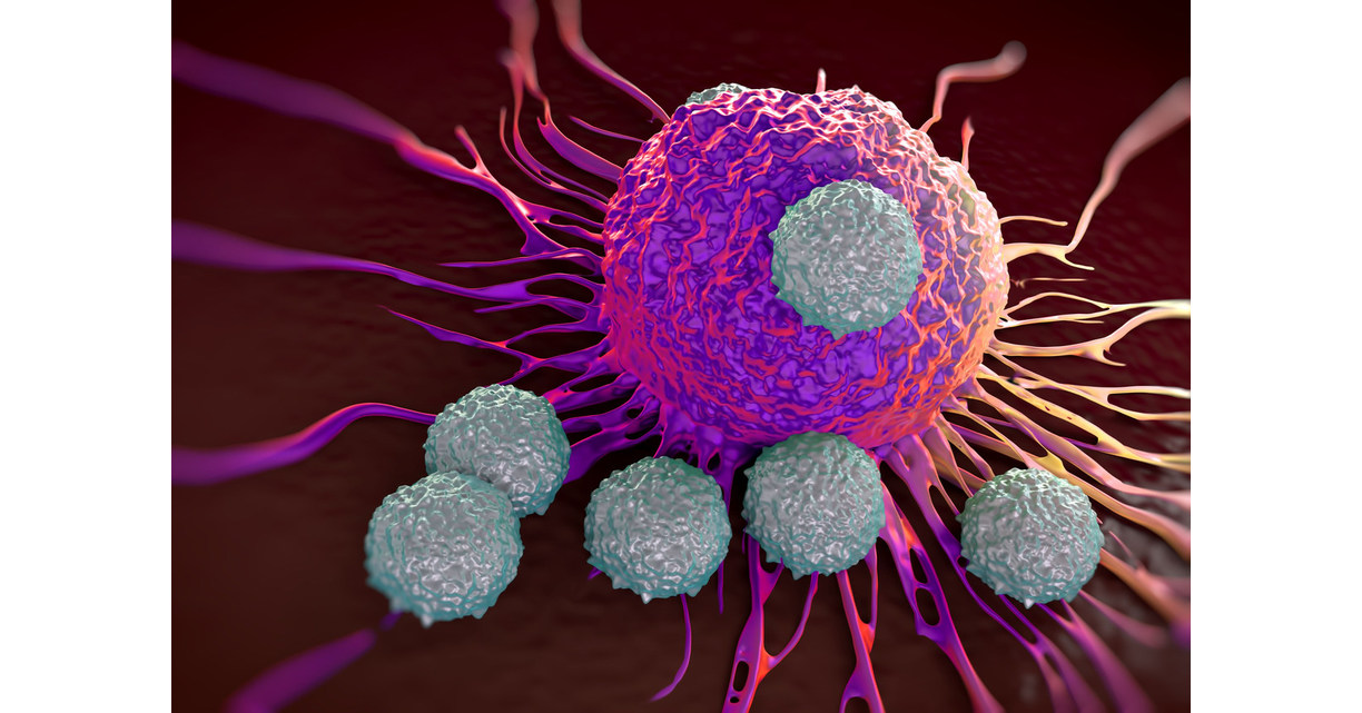 IBBR awarded NIH grant to investigate body's T-cell mechanism of attack