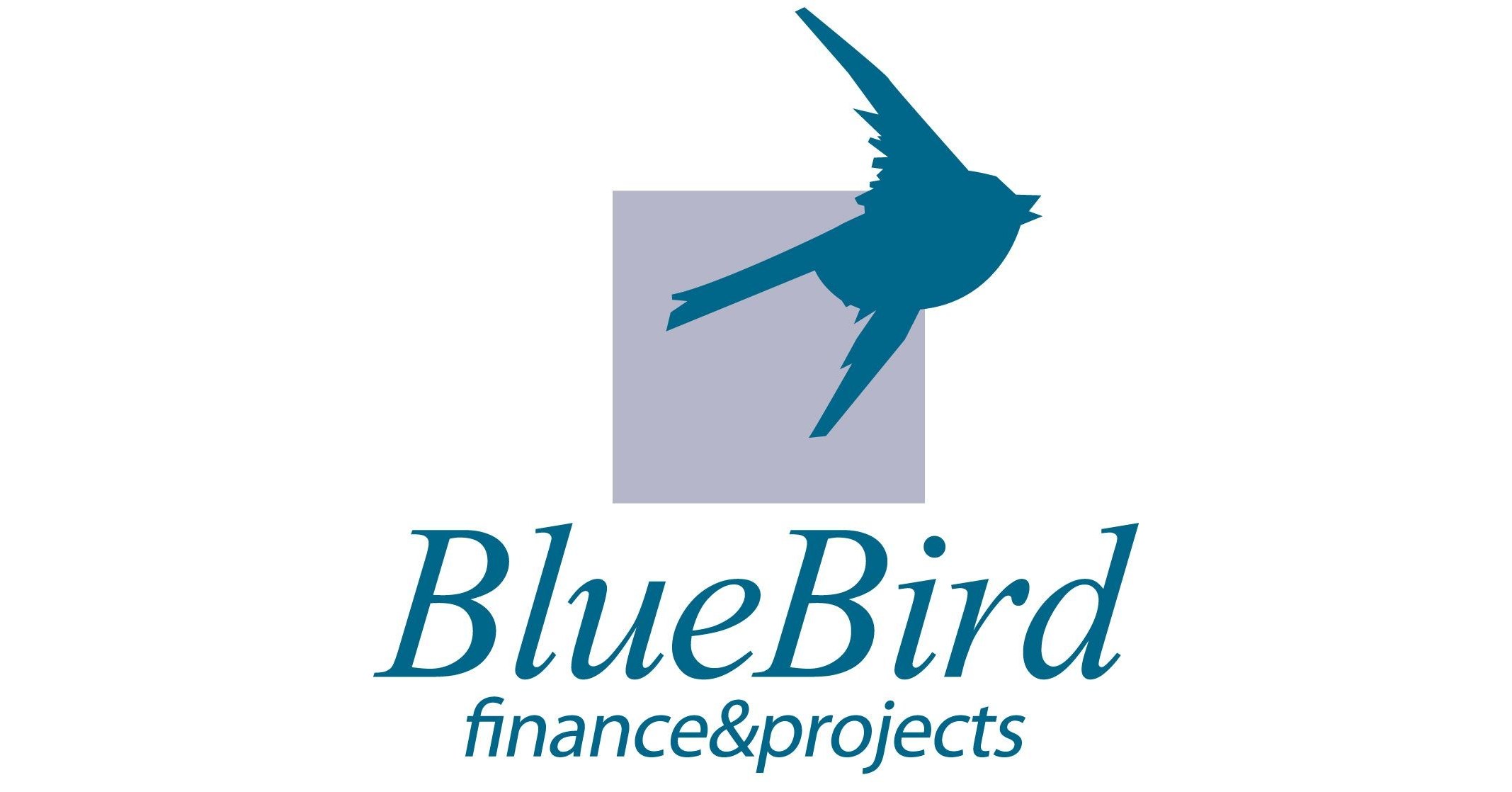 BlueBird Closes Financing of a 165 Million USD Hospital Project in Africa