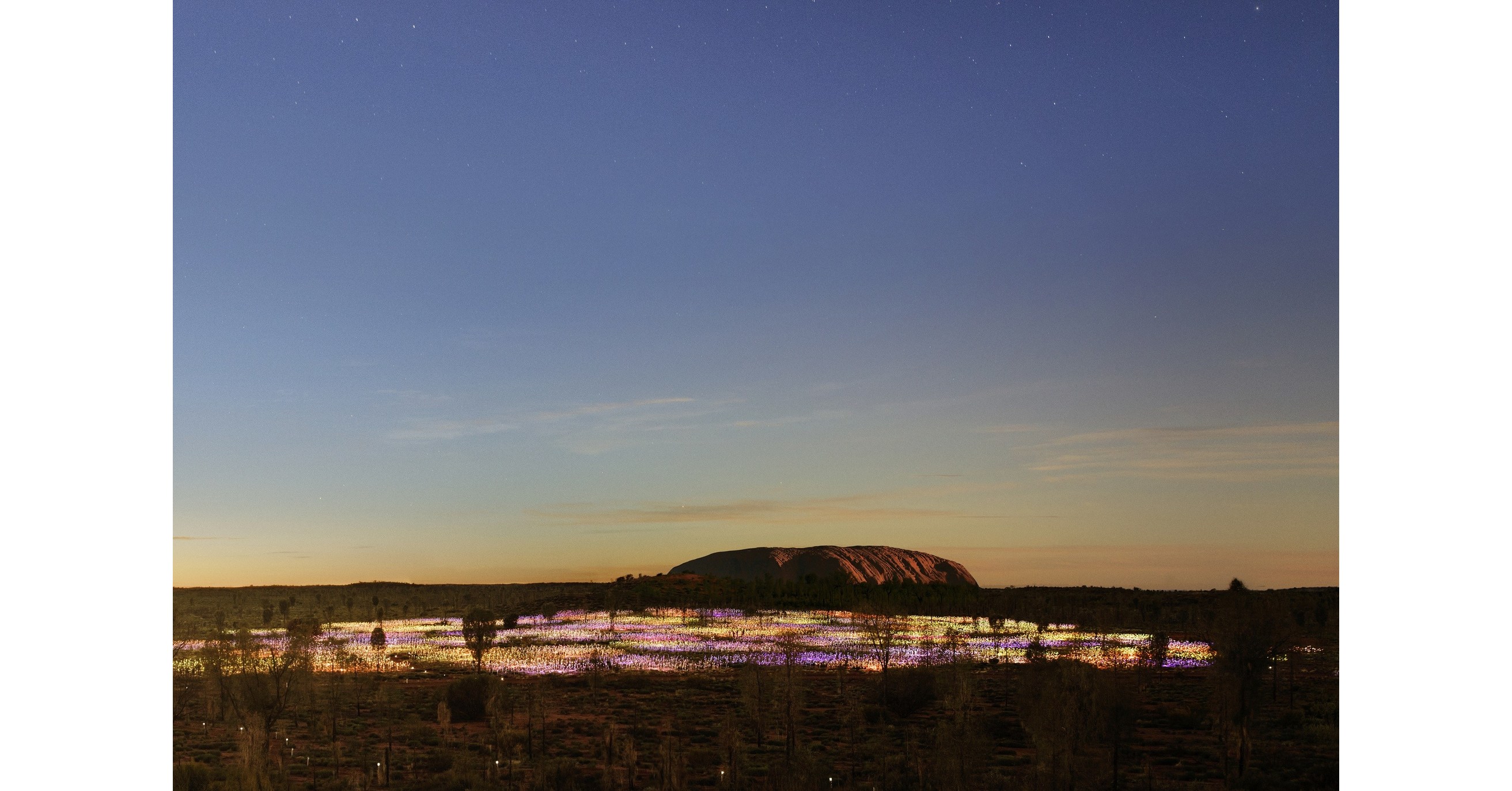 Successful Field of Light Uluru Shines on into 2020