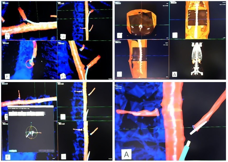 Centerline Biomedical Completes Fifth Preclinical Study