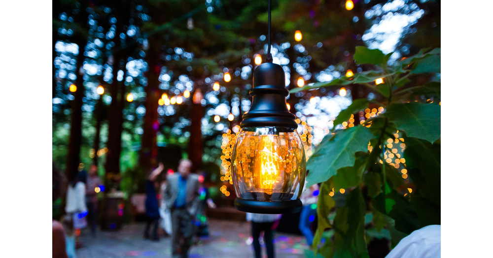 The Burton Bulb™, the First Neo-vintage LED Bulb with Flickerless LED ...