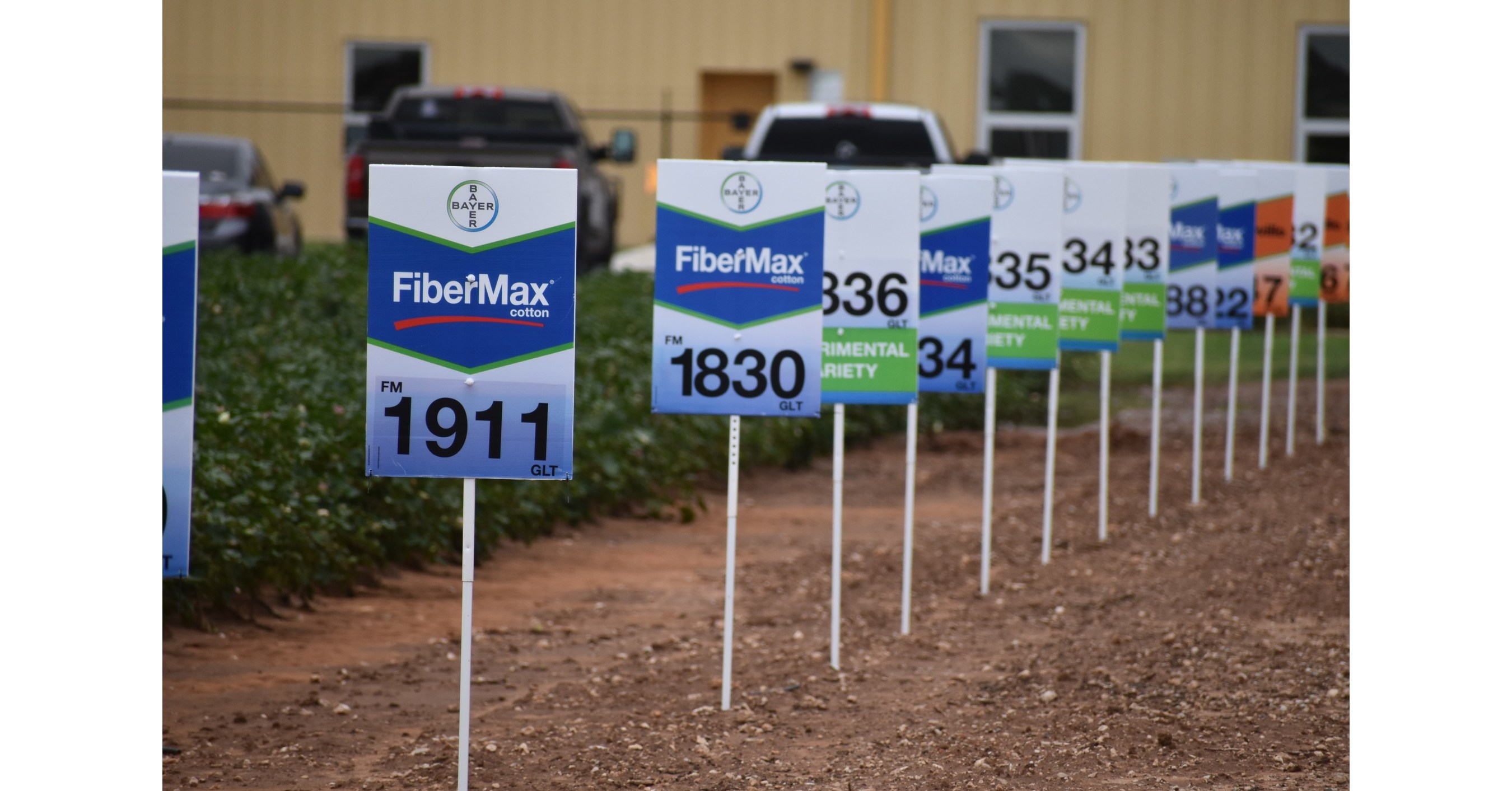 New Bayer Varieties Focus on High Yield