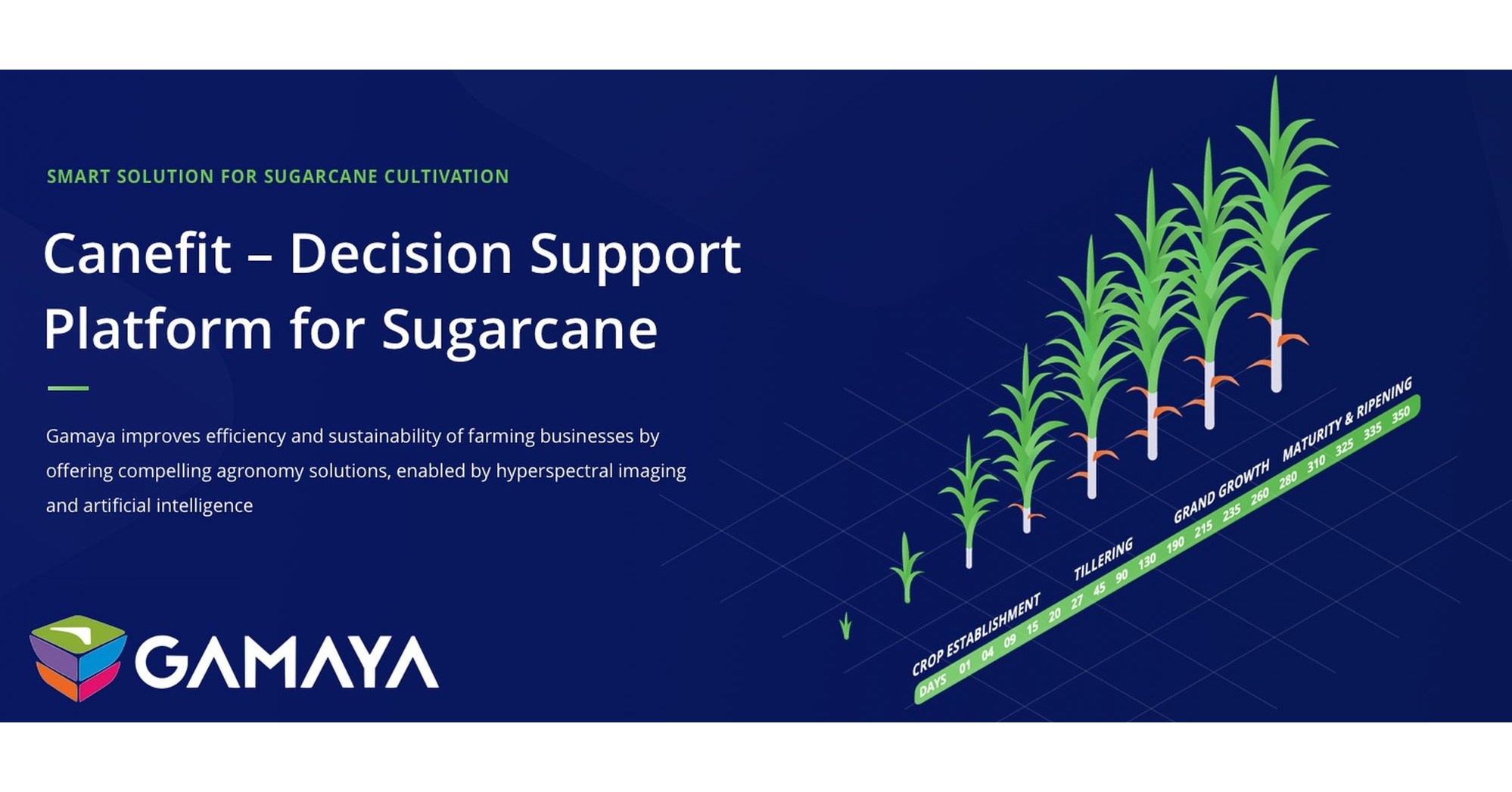 Gamaya Introduces CaneFit - Decision-Support and Automation Platform ...