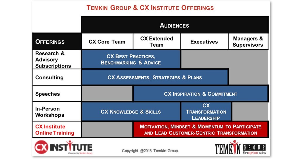 Temkin Group Announces Successful Launch of CX Institute Online Training