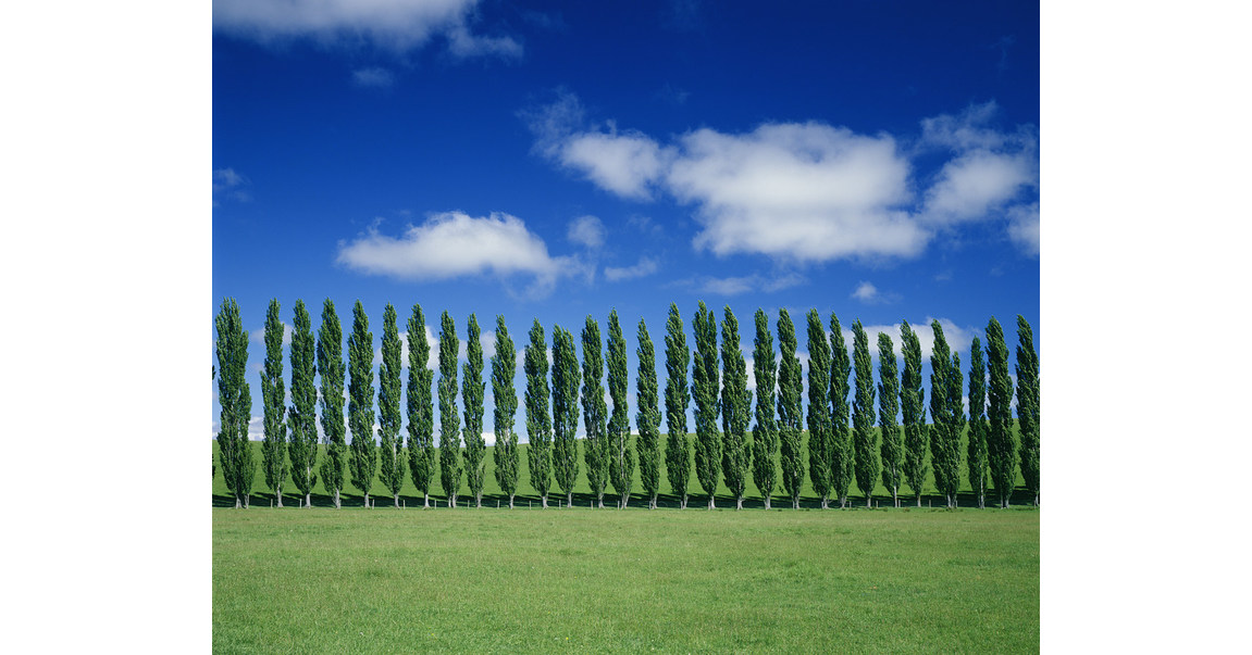 IBBR awarded DOE grant to investigate how to protect an emerging ...