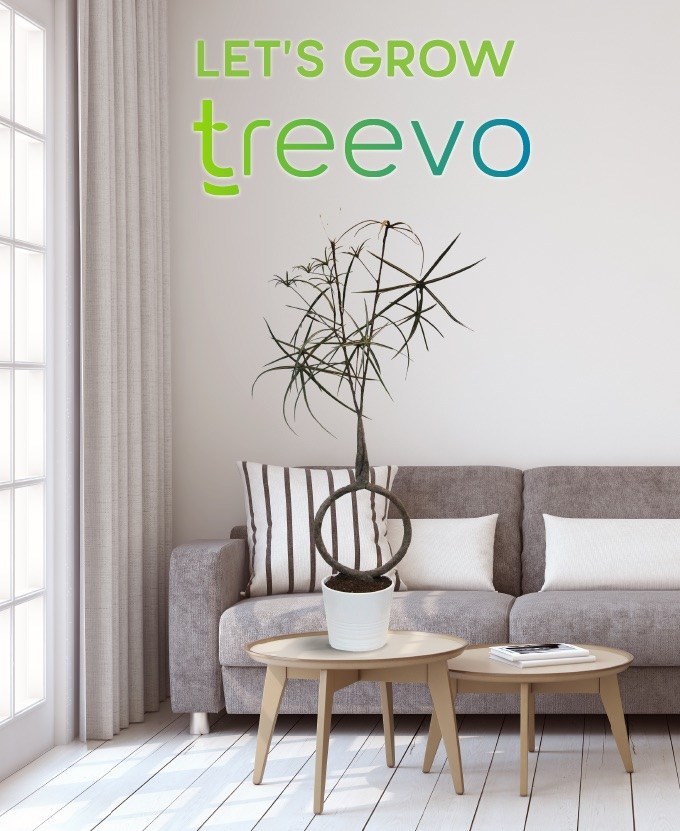 Treevo Introduces a Revolutionary Way of Growing Trees Into Ornamental ...