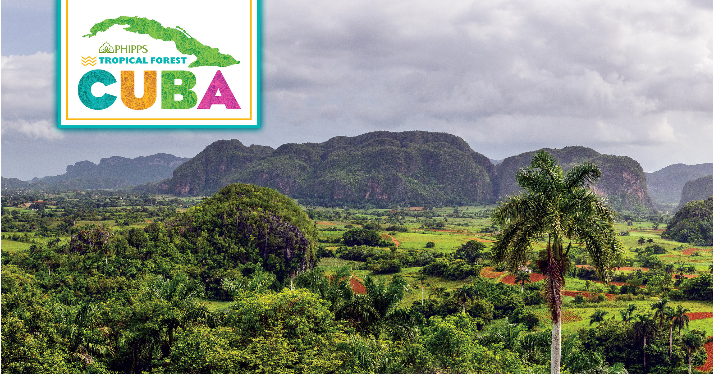 Phipps Conservatory Unveils Tropical Forest Cuba, Transporting Guests ...