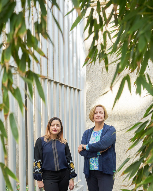 Pioneering immunotherapy to find and kill elusive cancer cells in ...