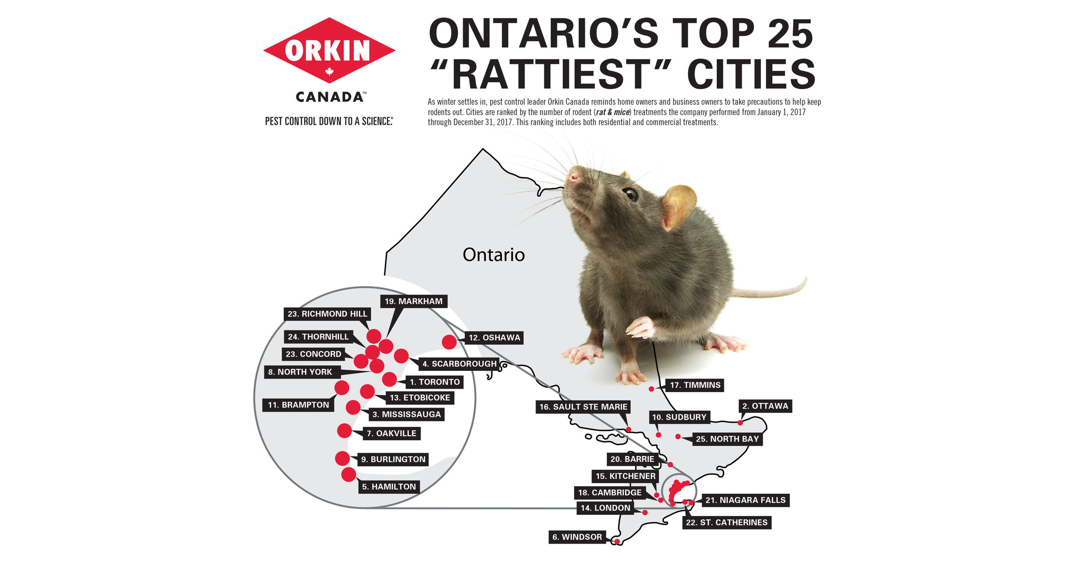 Bumper year for Rats in Ontario