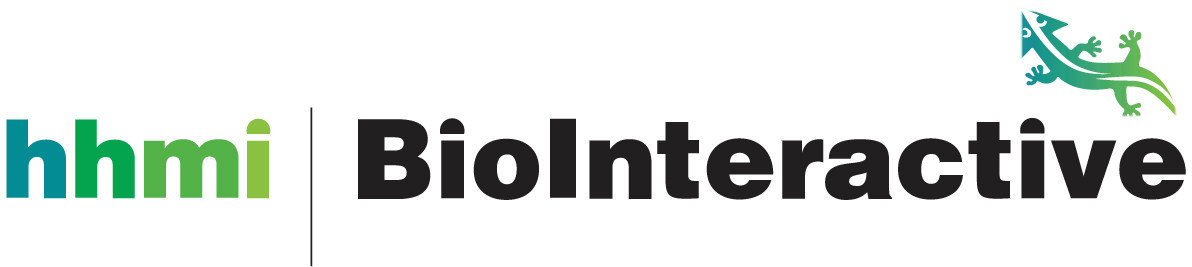HHMI BioInteractive lanza un nuevo sitio web en español, con recursos ...