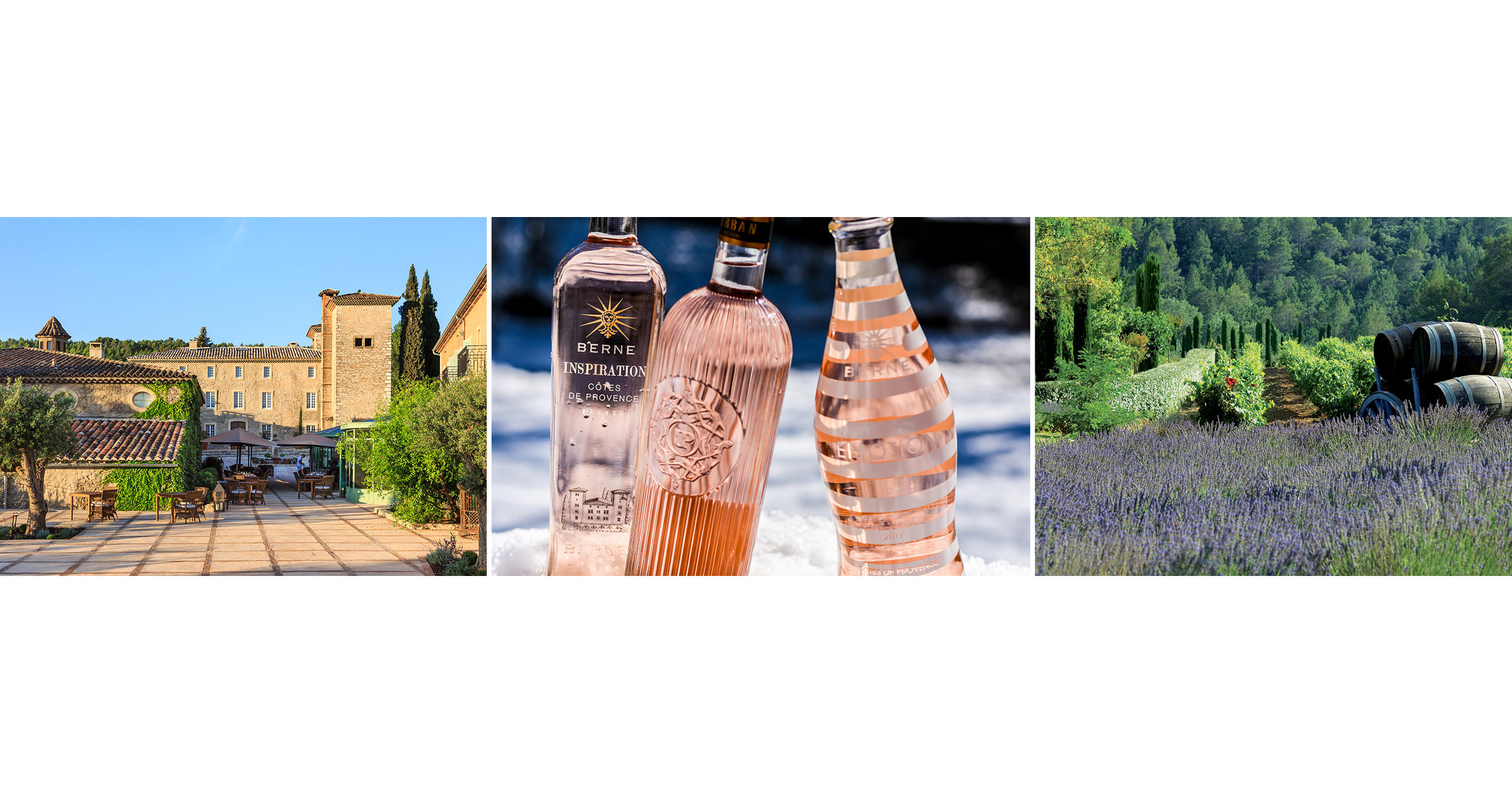 Provence Rose Group Created to Meet Premium Rose Demand in US