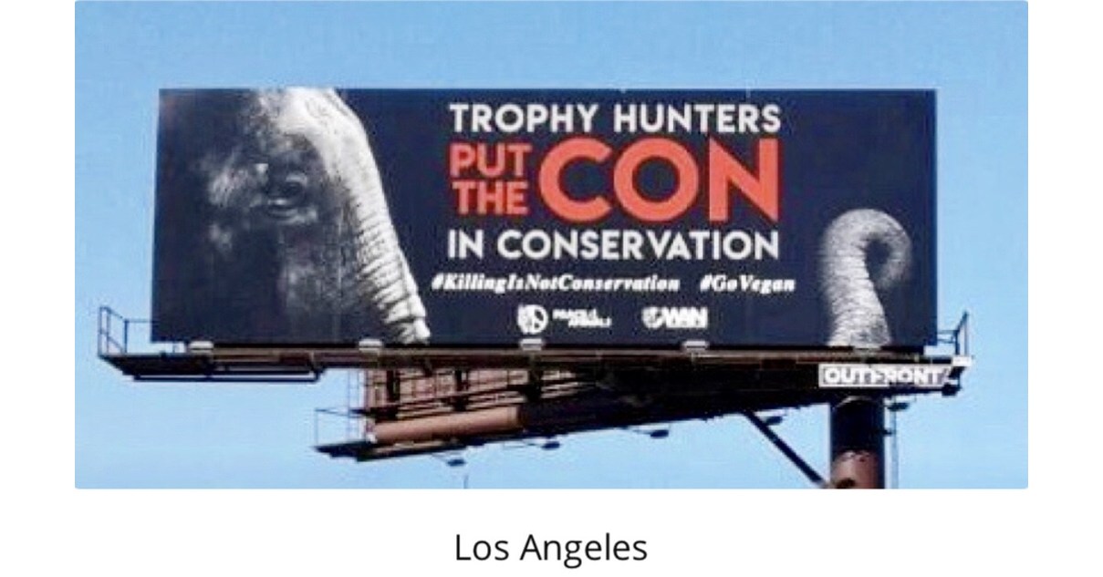 Peace 4 Animals & World Animal News Launch New Billboard Campaign ...