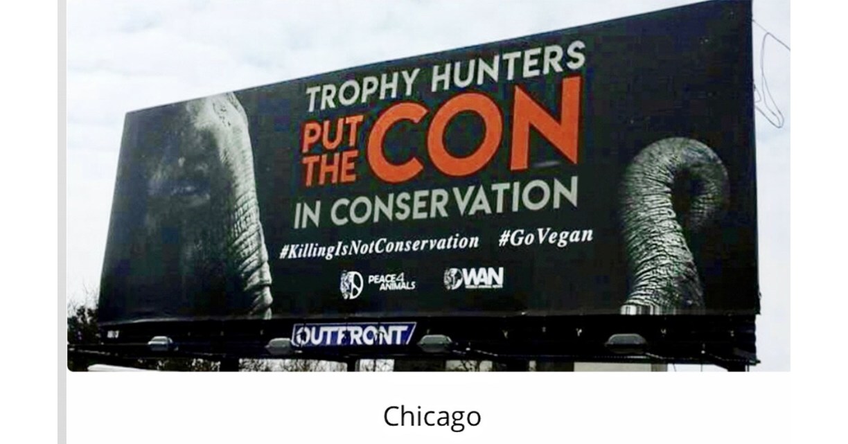 Peace 4 Animals & World Animal News Launch New Billboard Campaign ...