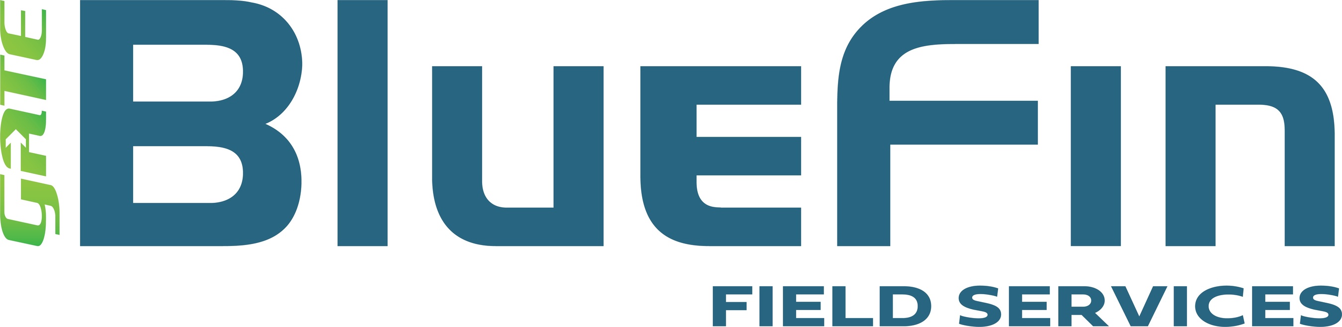 BlueFin & Emerson Form Strategic Partnership to Deliver Roxar Gauge ...