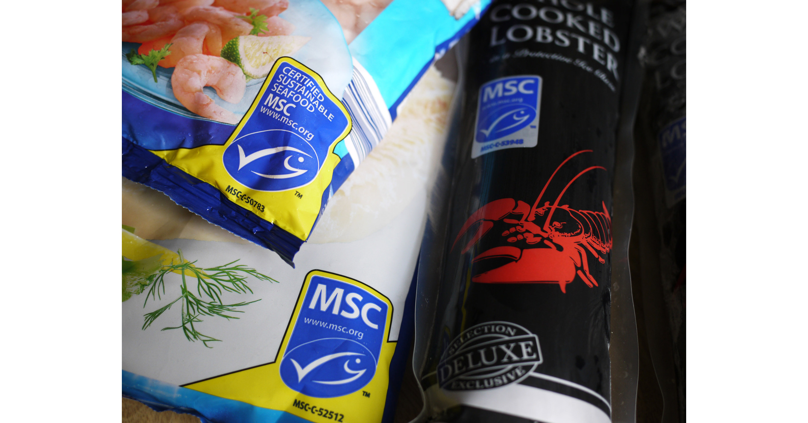 Marine Stewardship Council Celebrates 20 Years of Keeping Oceans Wild