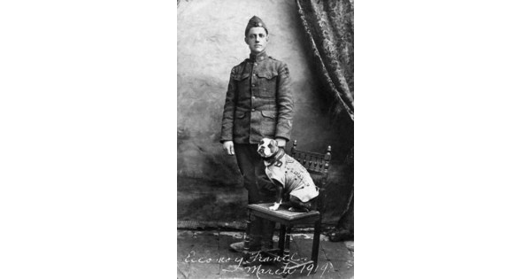 As Americans Observe National K9 Veterans Day, Sgt. Stubby: An American ...