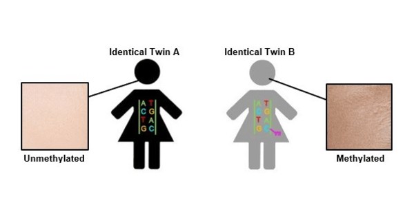 EpigenCare's Personalized Skincare Test Brings Epigenetics Closer to ...