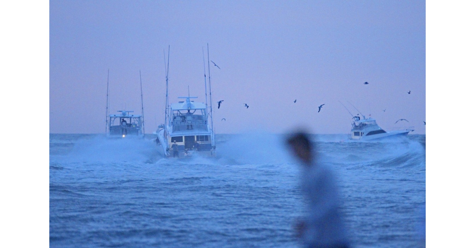White Marlin Open to Host 45th Annual Deep-Sea Fishing Tournament this ...