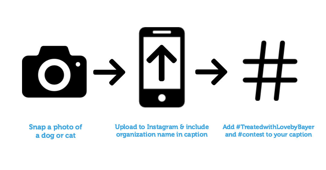 Bayer and Adopt-a-Pet.com Help Champion Healthy Pet Adoptions With ...