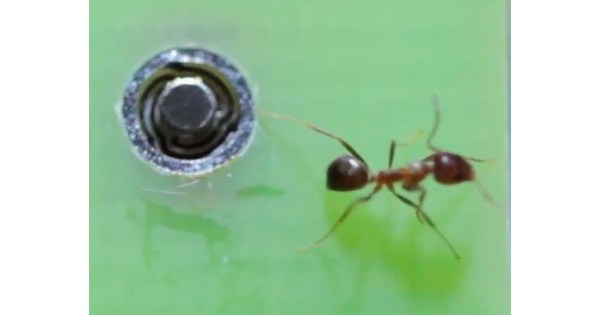 Integra Devices Revolutionizes Miniaturization