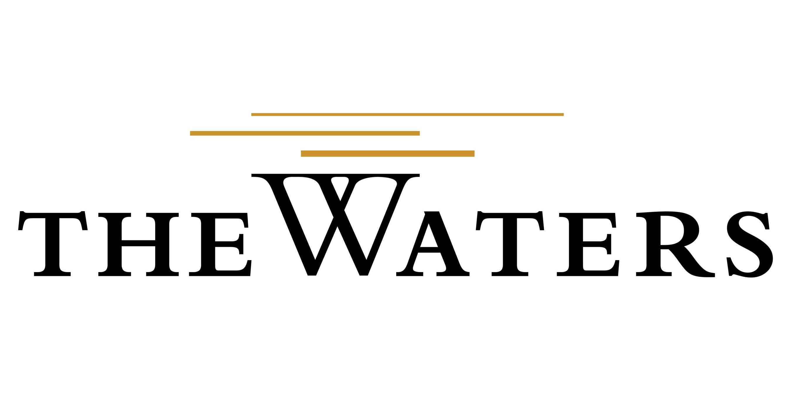 Accomplished Female Executive Hired to Assume Key Position at The ...