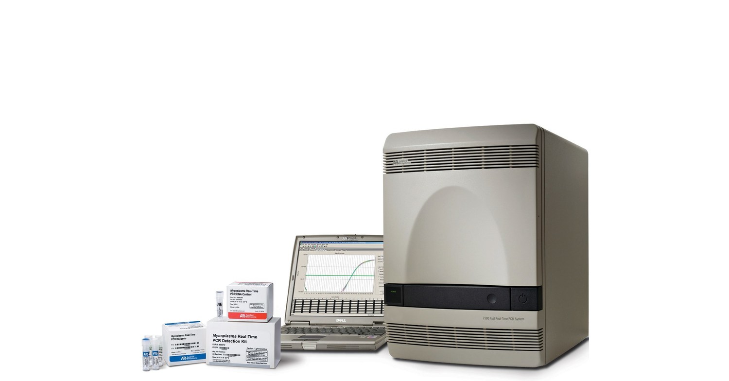 Rapid Mycoplasma Testing Method Now Accepted by Regulators for QA/QC ...