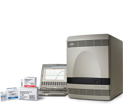 Rapid Mycoplasma Testing Method Now Accepted by Regulators for QA/QC ...