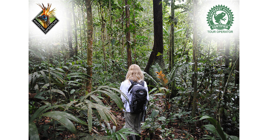 Adventure Travel Pioneer Amazonia Expeditions Receives Rainforest ...