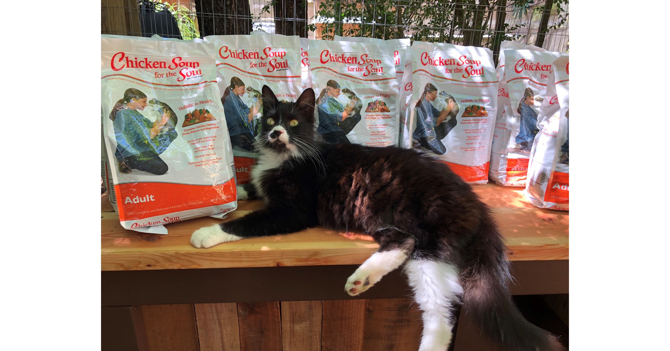 American Humane and Chicken Soup for the Soul Work Together to Deliver ...