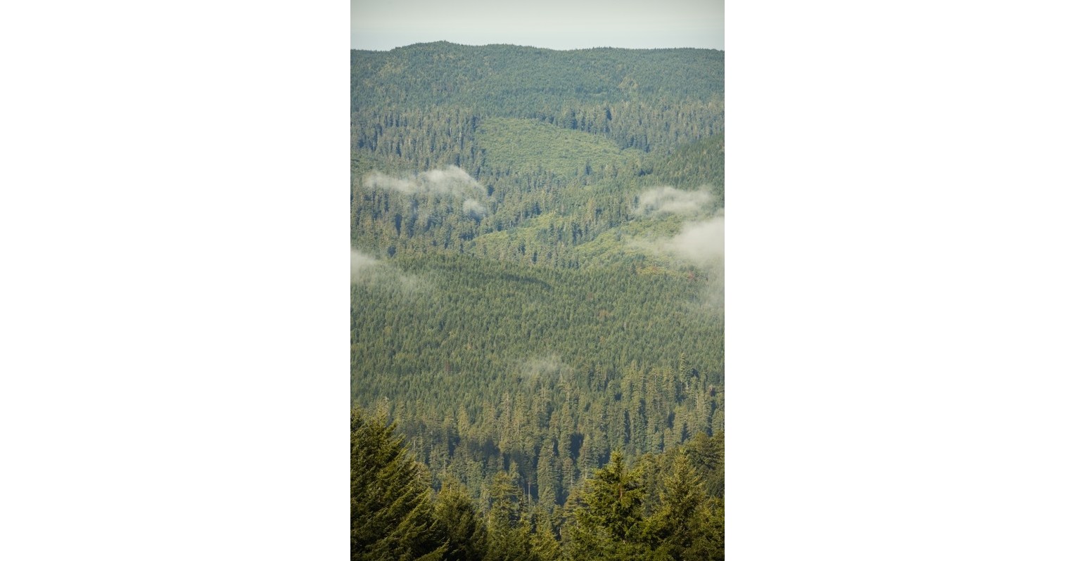 Save the Redwoods League, National Park Service and California State ...