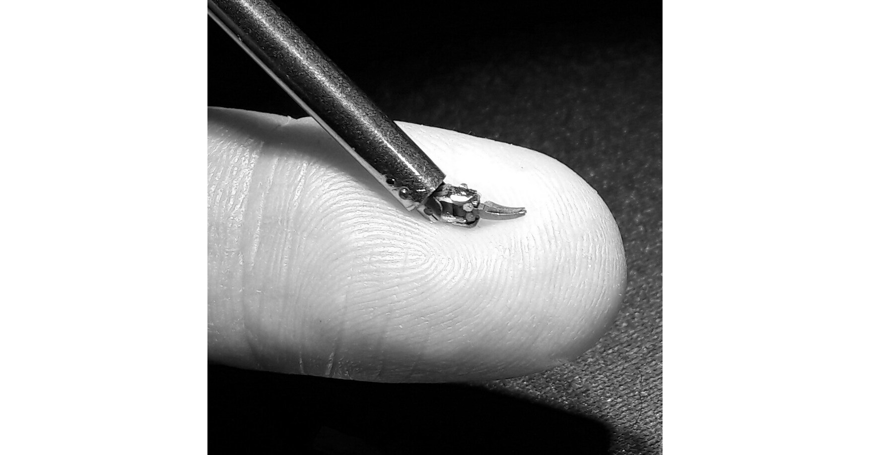 Medical Microinstruments S.p.A. Announces €20M in Series A Funding to ...