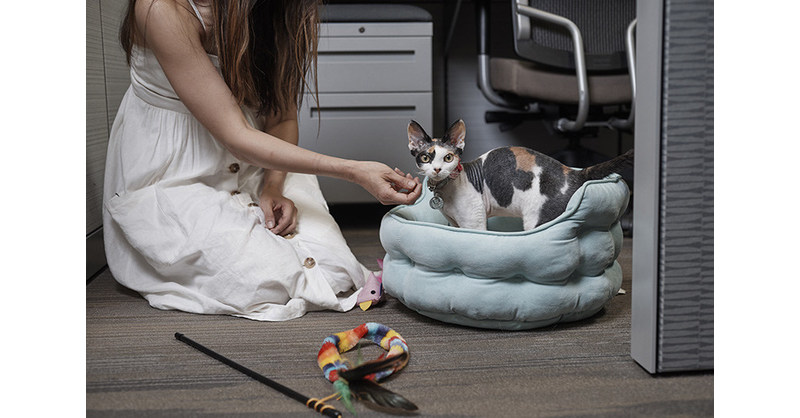 Petco Encourages Employers to go Pet-Friendly in Honor of National Pets ...