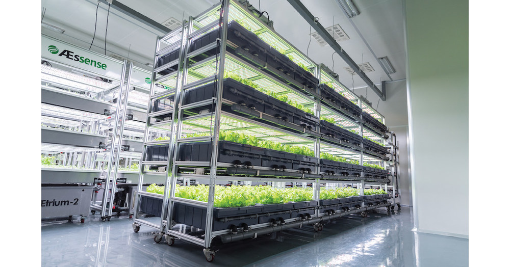 AEssenseGrows Boosts Clone Production 50% with New AEtrium-2.1 SmartFarm-72