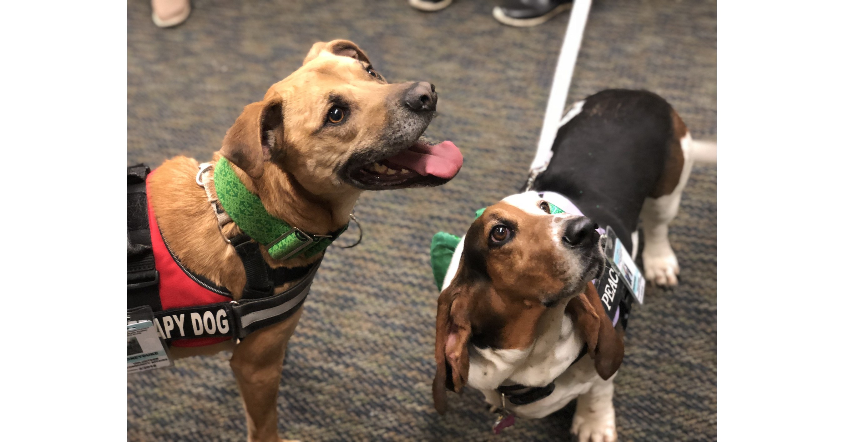 Grady Adds Animal-Assisted Therapy to its Renowned Patient Care