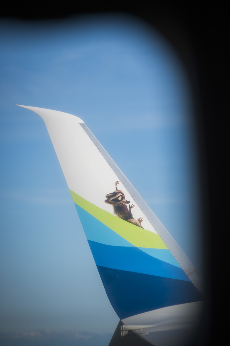 Alaska Airlines gets ’animated’ with newly themed plane featuring ...
