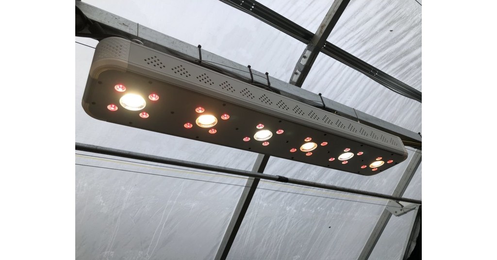 Smart Cannabis Brings New Energy Efficient Lighting Product to ...