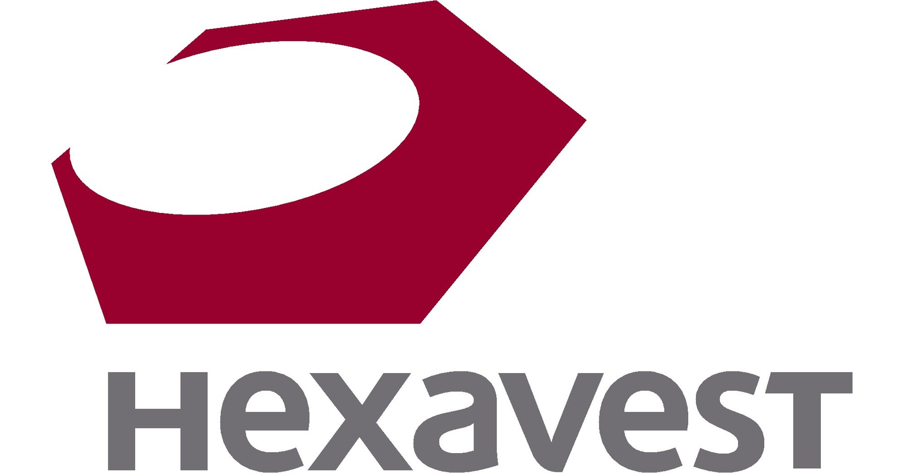 Hexavest annonce la nomination de Vincent Delisle à titre de co-chef ...