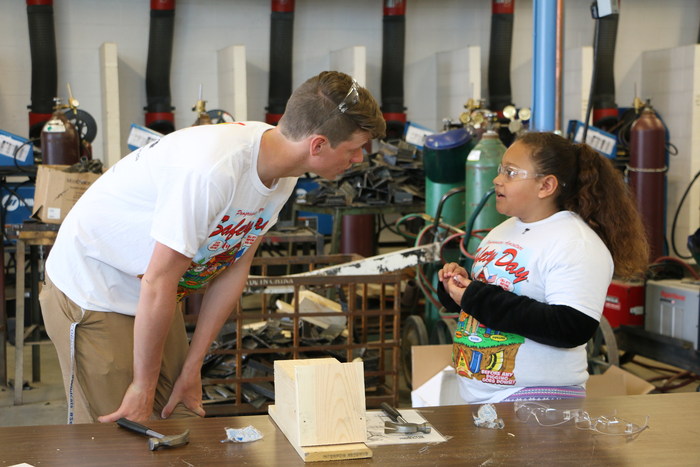 Novus International Releases CIBENZA® DP100 Video