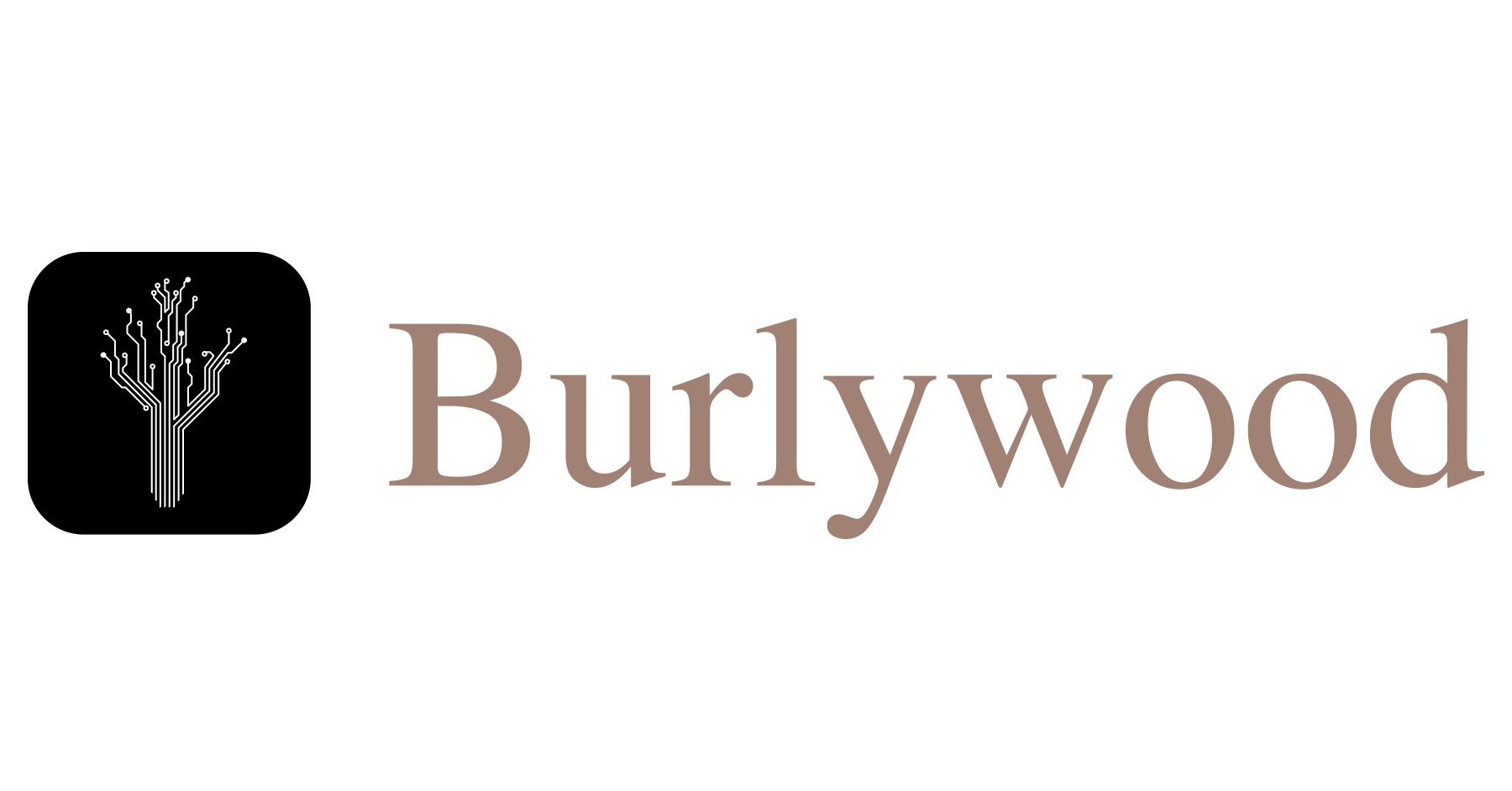Burlywood Accelerates Transition to All-Flash Data Centers with ...