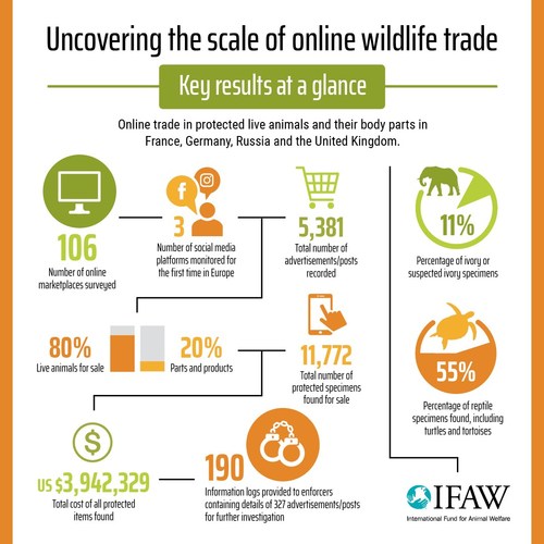 IFAW's latest report on online wildlife trade highlights the scale and ...